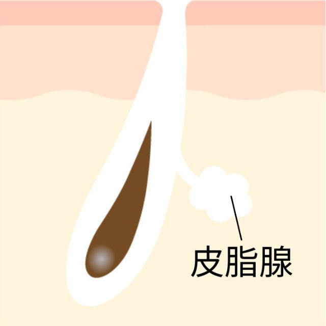 毛穴のつまりが悪化するとニキビに！？メカニズムと対応方法を解説｜毛穴の専門家 石川ゆき子 毛穴悩み解放コラム vol.3 | TRILL【トリル】