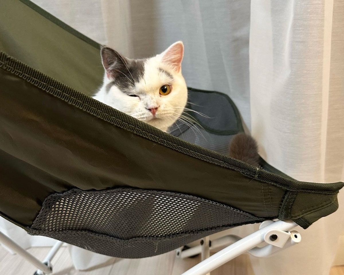 ウインクしちゃうよ。【困り眉ハクマル、デレツン暮らし。 vol.14】 | TRILL【トリル】