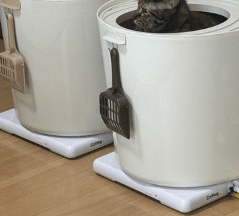 トイレする猫2匹 思わず激写した1枚に「めっちゃ可愛い」「シンクロ」 | TRILL【トリル】