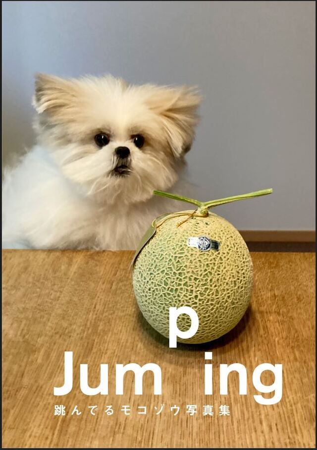 ワンコがテーブルの上の食べものに向かってジャンプする瞬間を集めた写真集発売 | TRILL【トリル】