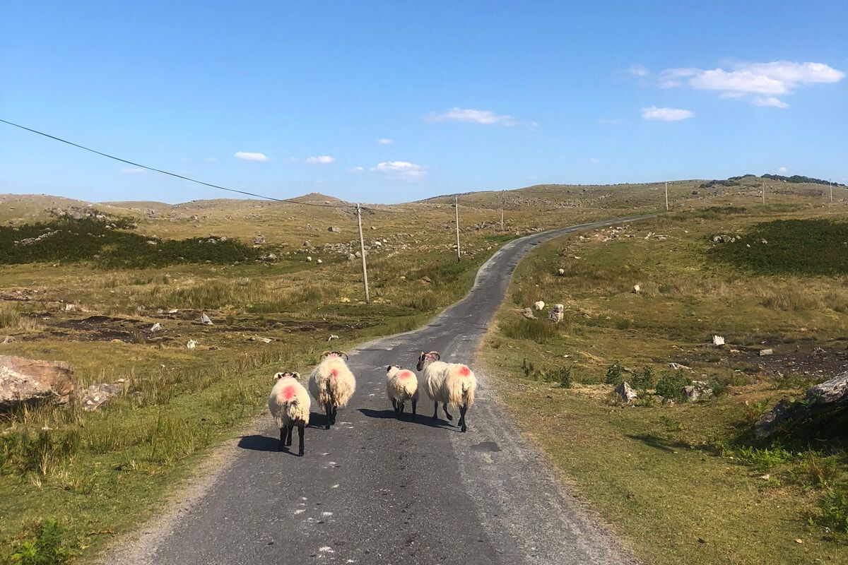 織物の魅力に惹かれて、アイルランド・クレア島での1週間のヴァカンス。｜竹形尚子（PRディレクション） | TRILL【トリル】