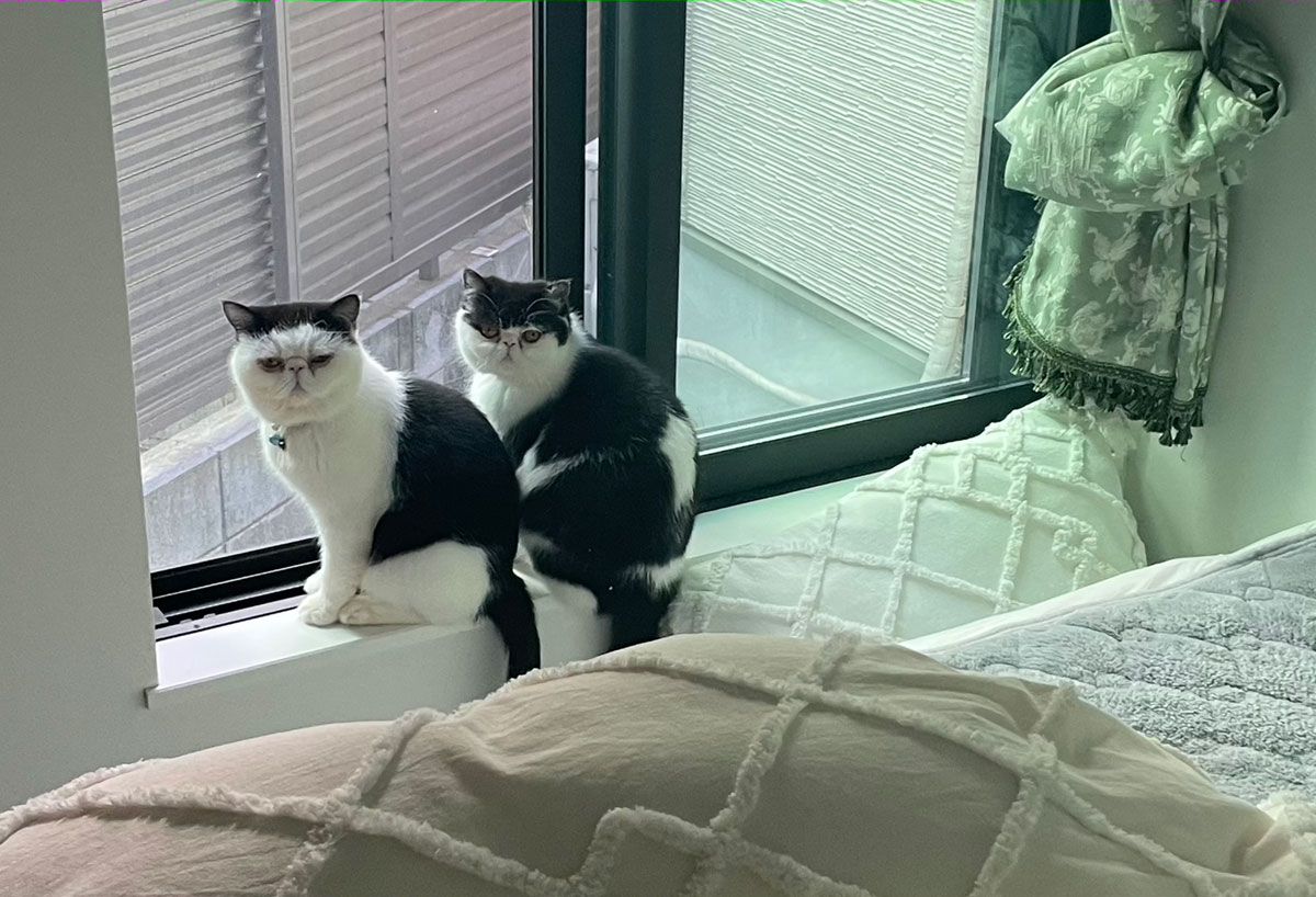 ぼくの、父としての葛藤。 【おちょこ、ぽのぽのだより。vol.165】 | TRILL【トリル】