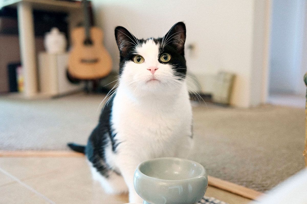 ごはん、いい予感がするわよ……？【おちゃめMaruのカナダ生活。 vol.70】 | TRILL【トリル】