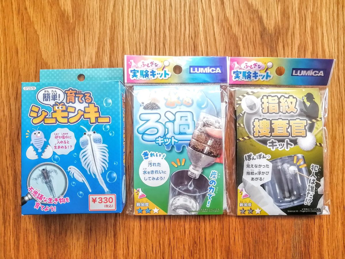 【100均】の商品で自由研究!? 楽しみながら簡単に挑戦できる、おすすめの「自由研究キット」 | TRILL【トリル】