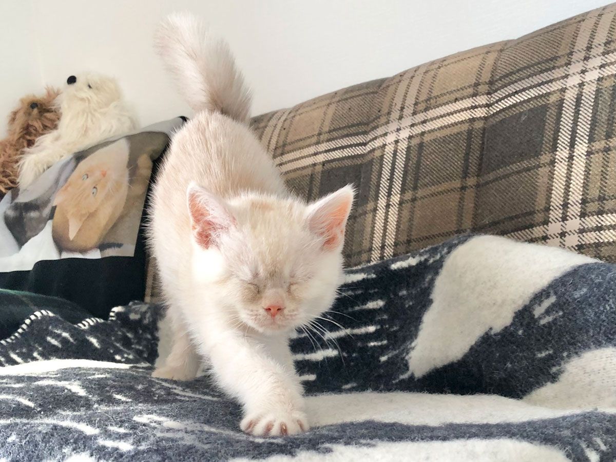 おはヤーございます。【 ベイビーヤーヤ、おとなへの道。 vol.10】 | TRILL【トリル】