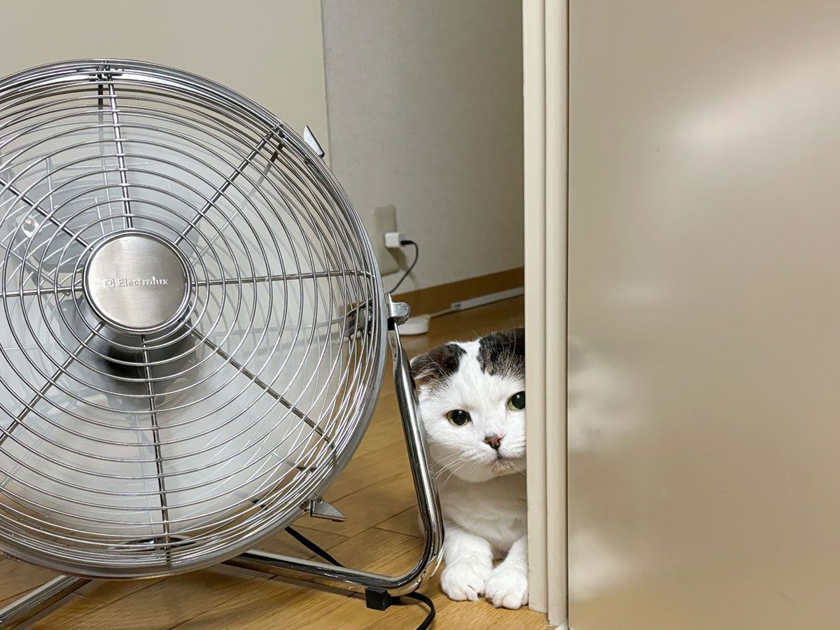 おやつチェック、入ります。【いなほ、オレ物語。vol.192】 | TRILL【トリル】