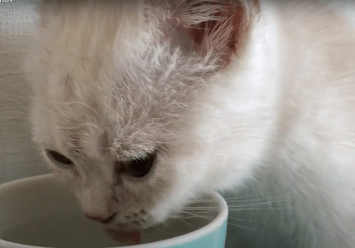 お水ごくごく♬【 ベイビーヤーヤ、おとなへの道。 vol.15】 | TRILL【トリル】