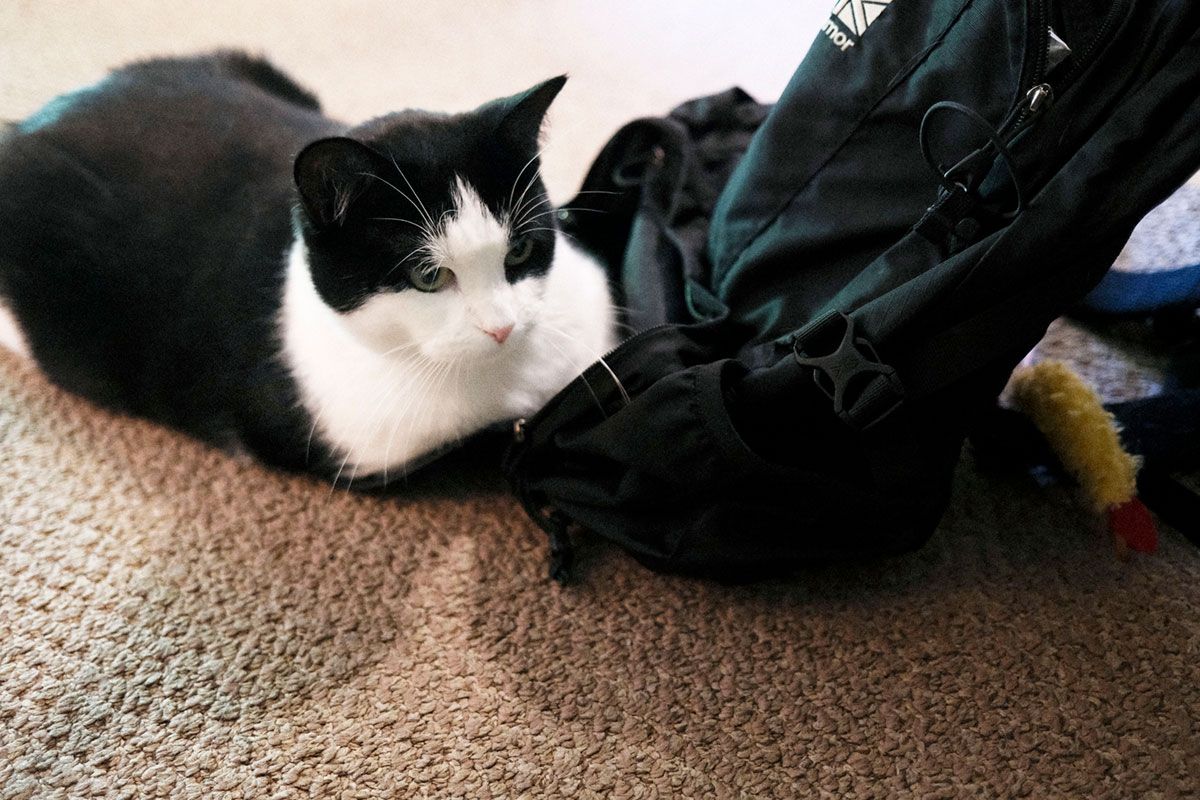 もう、逃げられないわよ。【おちゃめMaruのカナダ生活。 vol.72】 | TRILL【トリル】