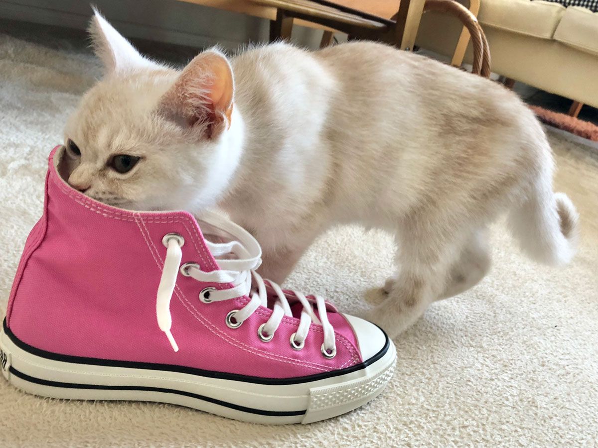 スポッ！！ 覗いた先には？【 ベイビーヤーヤ、おとなへの道。 vol.25】 | TRILL【トリル】