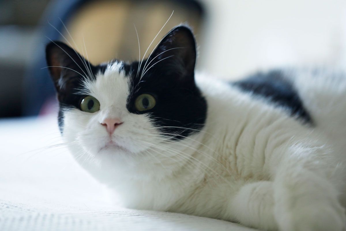 さて、何を見つけたでしょう？【おちゃめMaruのカナダ生活。 vol.74】 | TRILL【トリル】