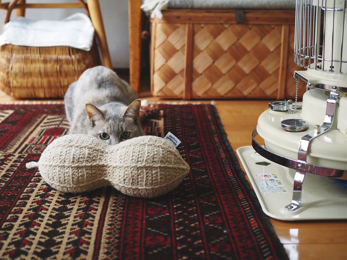 さて、私はどこに隠れているでしょう？ 【もっぷのちんまりLIFE。 vol.4】 | TRILL【トリル】