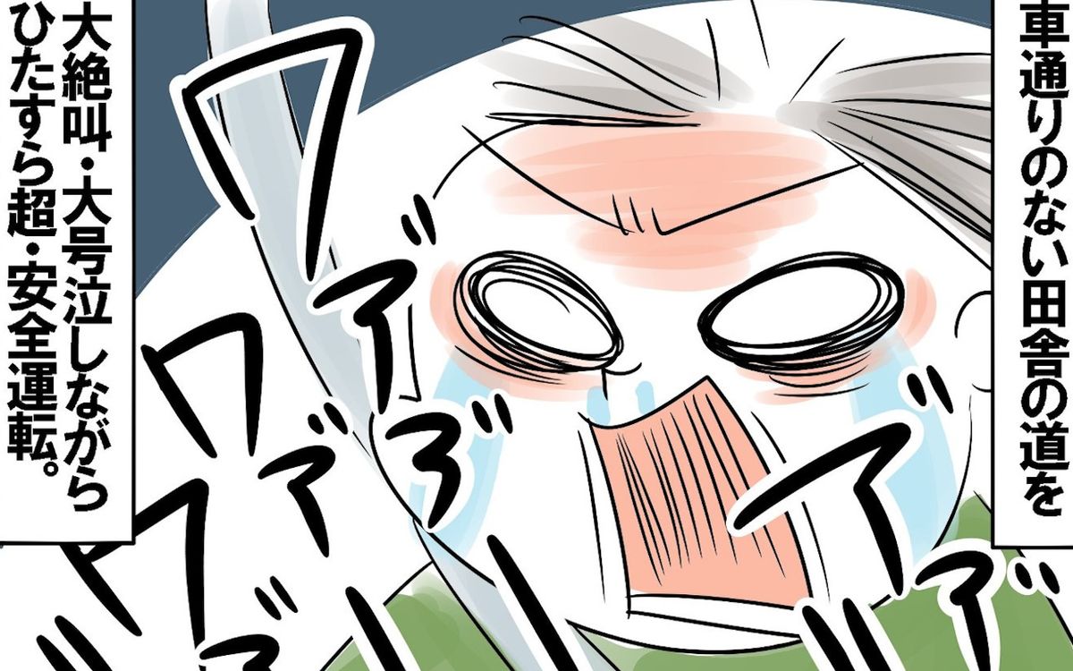 ストレス大爆発の夏の終わり…真夜中の号泣ドライブ【めまぐるしいけど愛おしい、空回り母ちゃんの日々 第398話】 | TRILL【トリル】