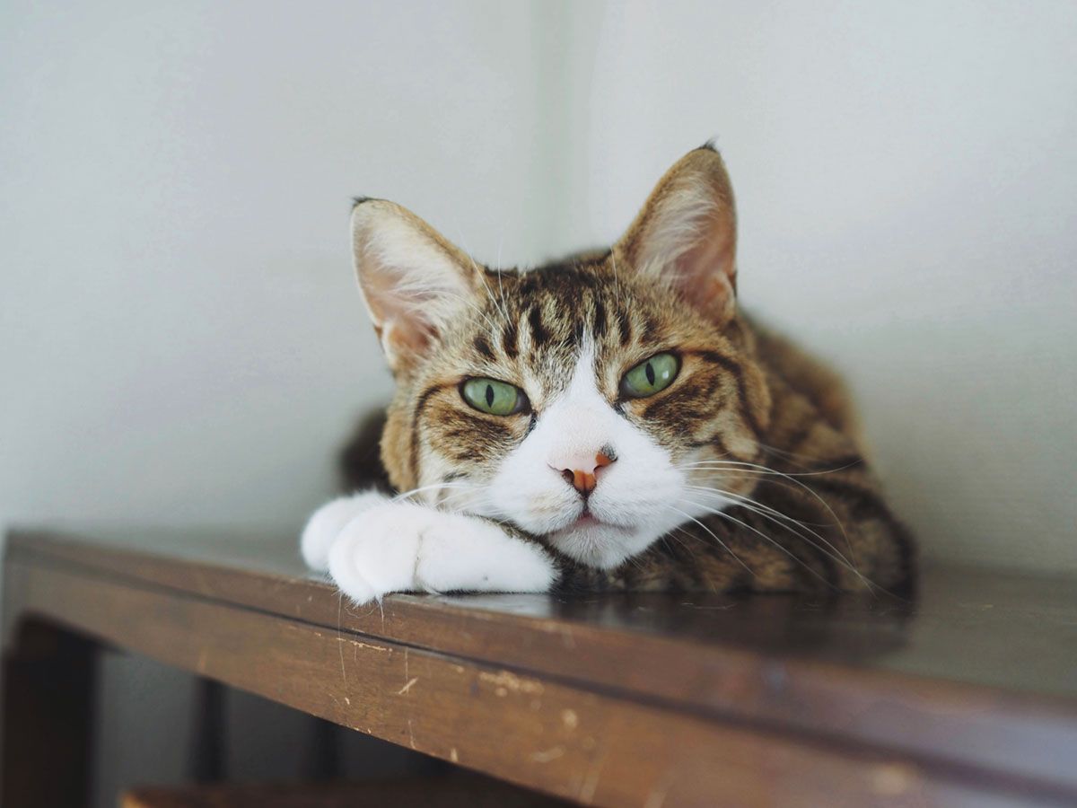 実は、イケメンの兄がいます。【もっぷのちんまりLIFE。 vol.5】 | TRILL【トリル】