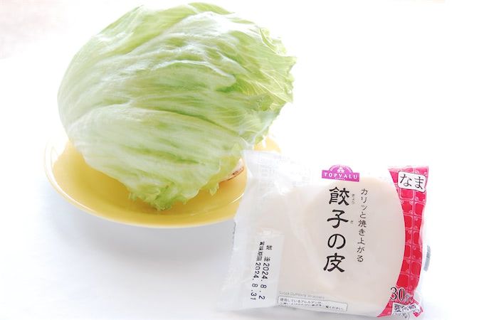 キャベツでも白菜でもなくて…軽い食べ心地の「レタス餃子」作ろう♪シャキシャキ食感も一緒に召しませ | TRILL【トリル】