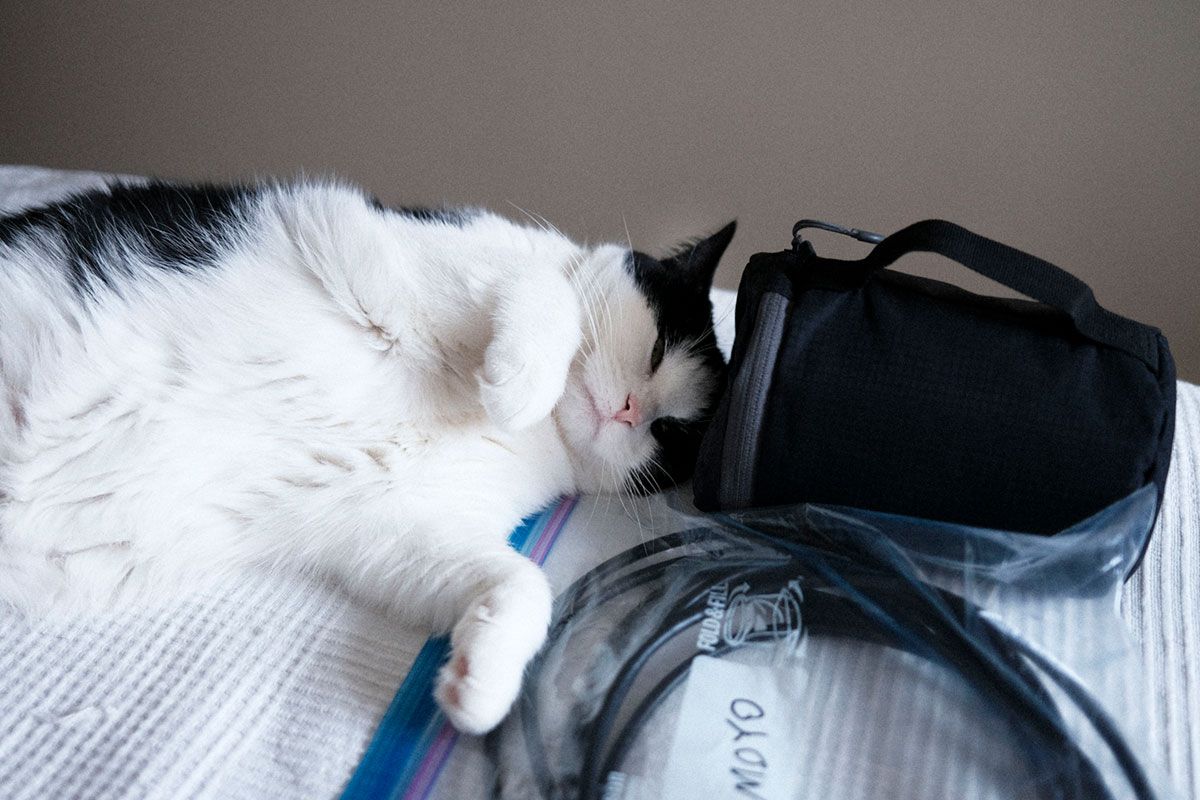 あたちの、無言の抵抗。【おちゃめMaruのカナダ生活。 vol.76】 | TRILL【トリル】