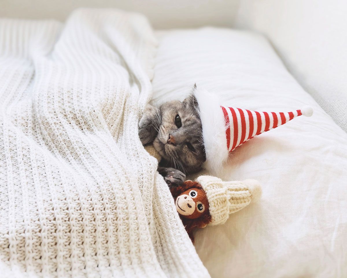 帽子コレクション、披露します。【もっぷのちんまりLIFE。 vol.18】 | TRILL【トリル】