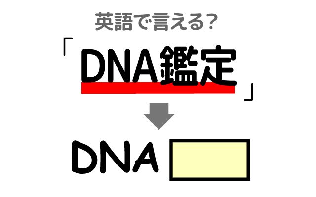 英語で【DNA鑑定】は何て言う？「犯人」などの英語もご紹介 | TRILL【トリル】