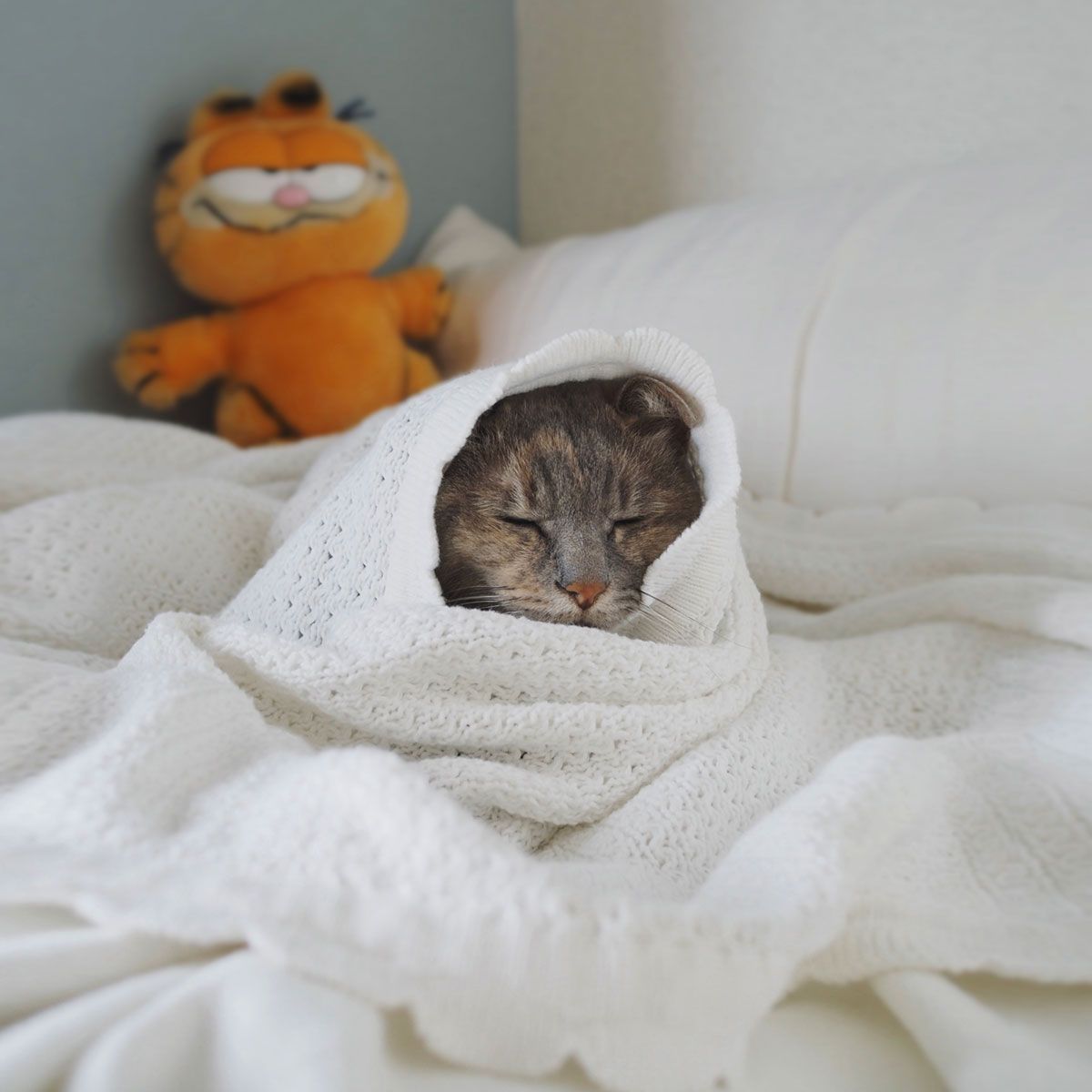 おへそ、渡したくないんだけど……。 【もっぷのちんまりLIFE。 vol.25】 | TRILL【トリル】