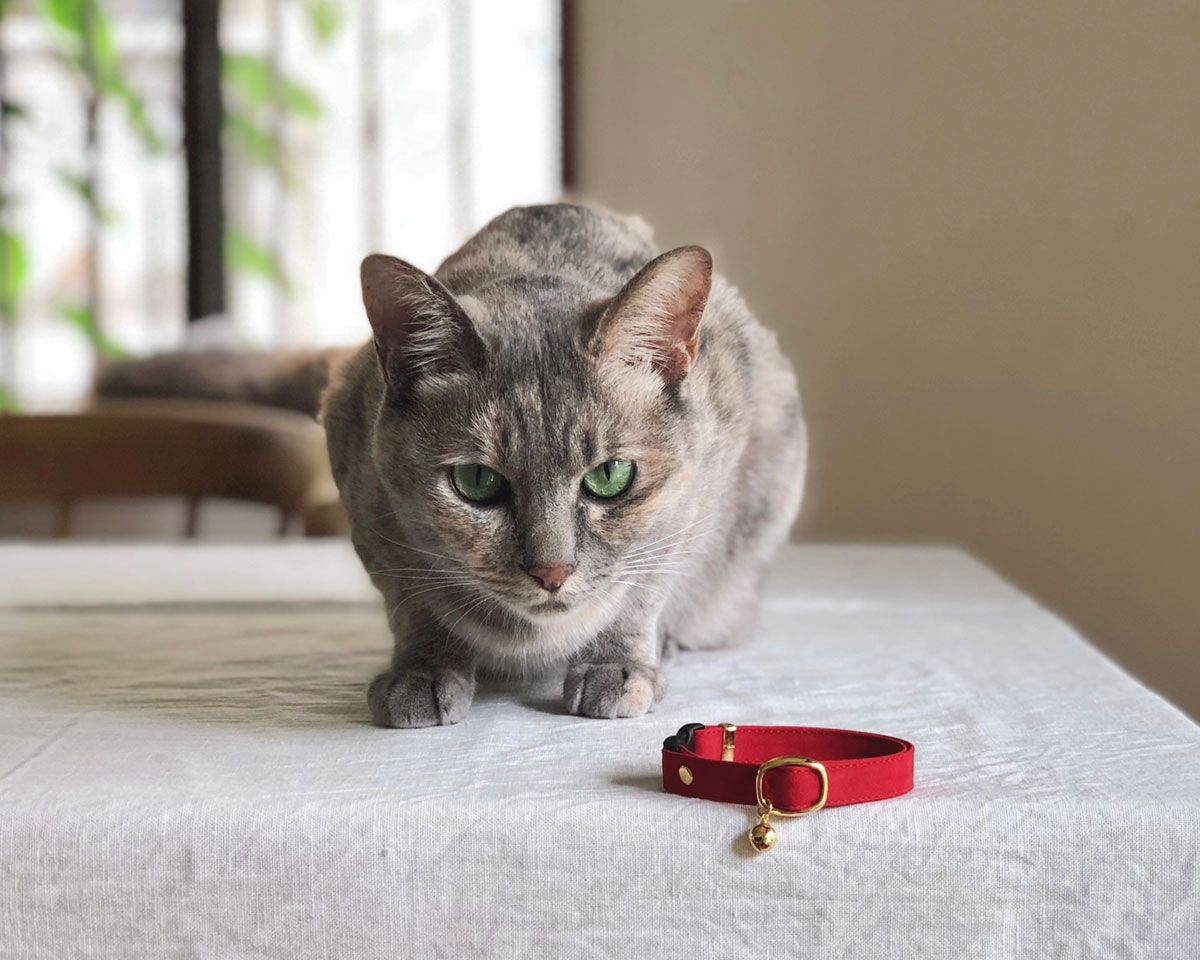 おもちゃが欲しいの。【もっぷのちんまりLIFE。 vol.29】 | TRILL【トリル】