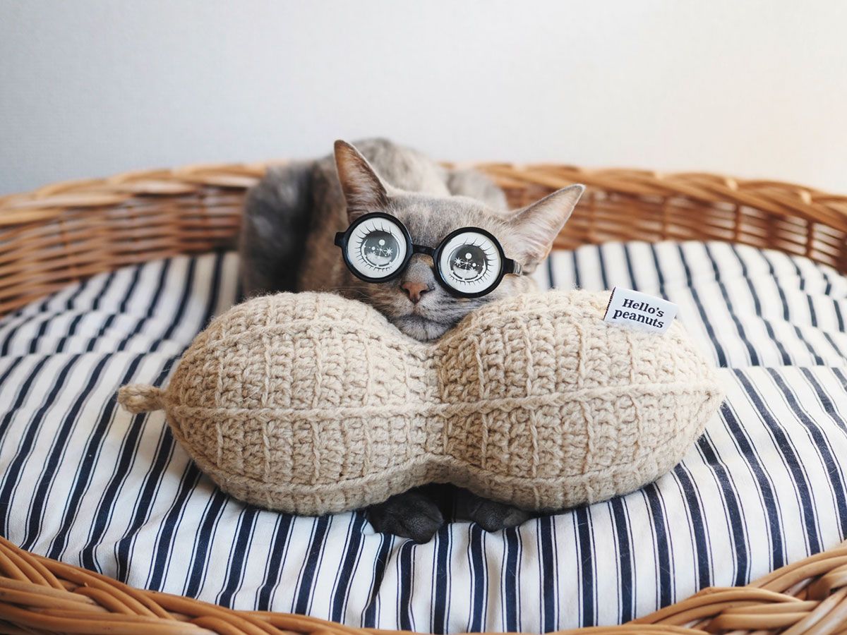 丸メガネで、さようなら！【もっぷのちんまりLIFE。 vol.30】 | TRILL【トリル】