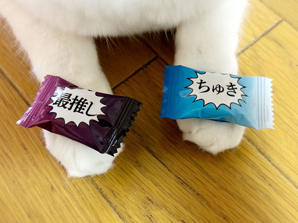 飼い主の「ちゅき」なお菓子。【いなほ、オレ物語。vol.201】 | TRILL【トリル】