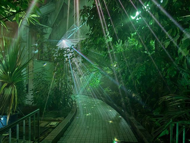 【京都】今秋、大注目の没入型ライトアップ！府立植物園で開催「LIGHT CYCLES」 | TRILL【トリル】