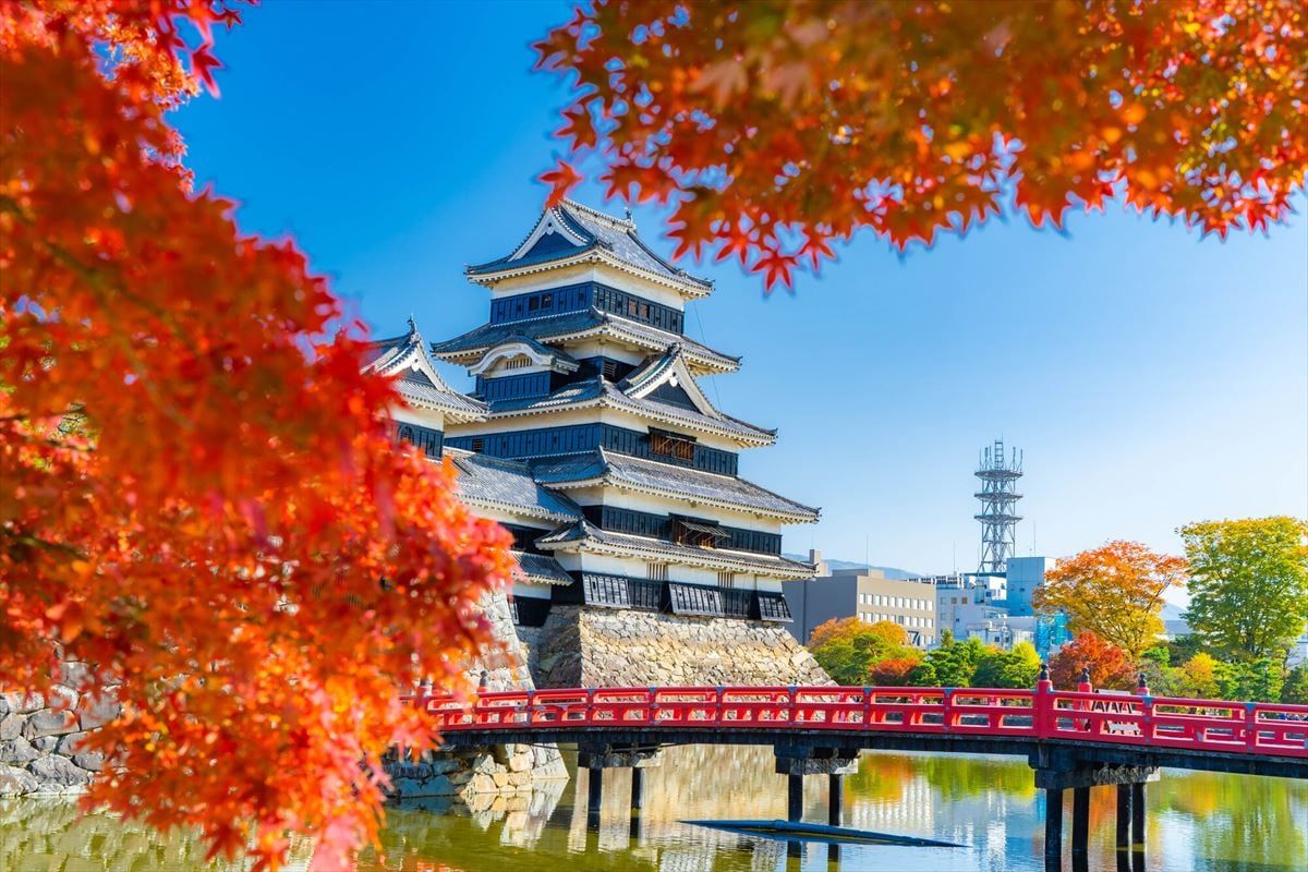 紅葉も！2024年秋「お城トレンドアクセスランキング」3位「松本城」、2位「犬山城」…1位は？ | TRILL【トリル】