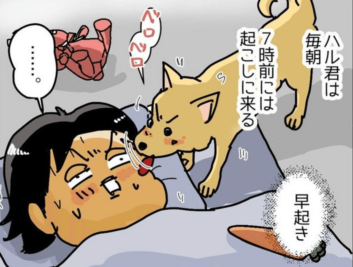 “愛犬のおかげ”で「自堕落な生活が出来なくなってしまった」理由とは | TRILL【トリル】