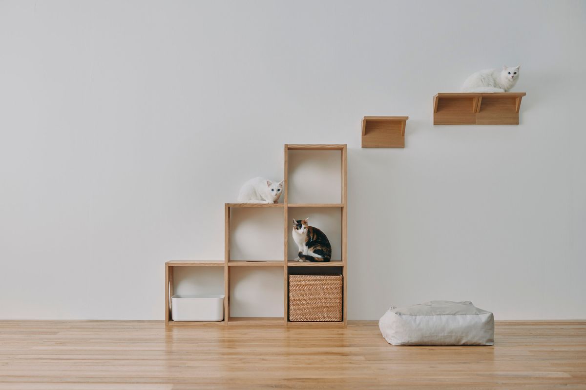 俺たちの無印良品が猫に対応、公式シンプル猫グッズを発表 | TRILL【トリル】
