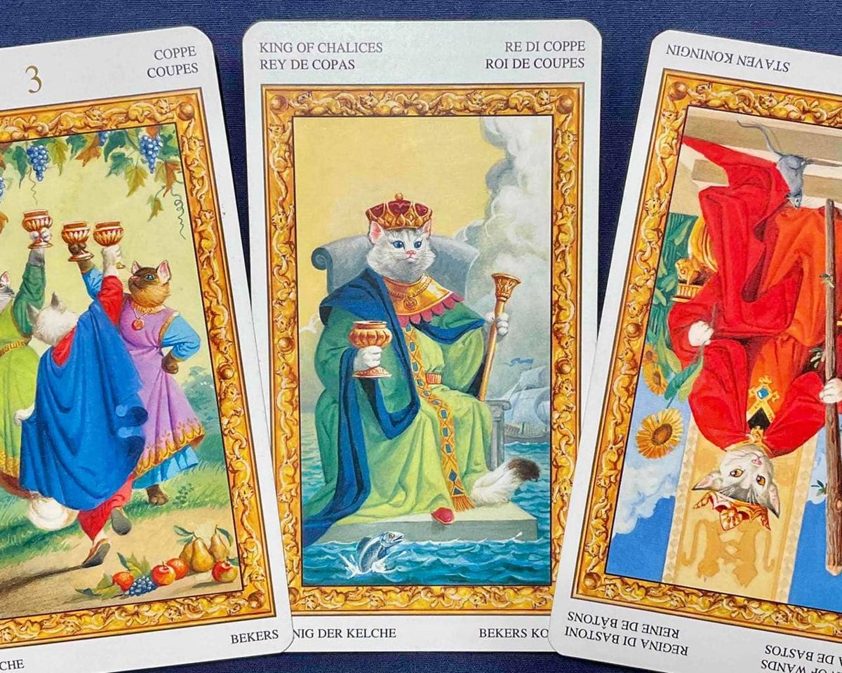 【獅子座】週間タロット占い《来週：2024年11月18日〜11月24日》の総合運＆恋愛運 | TRILL【トリル】