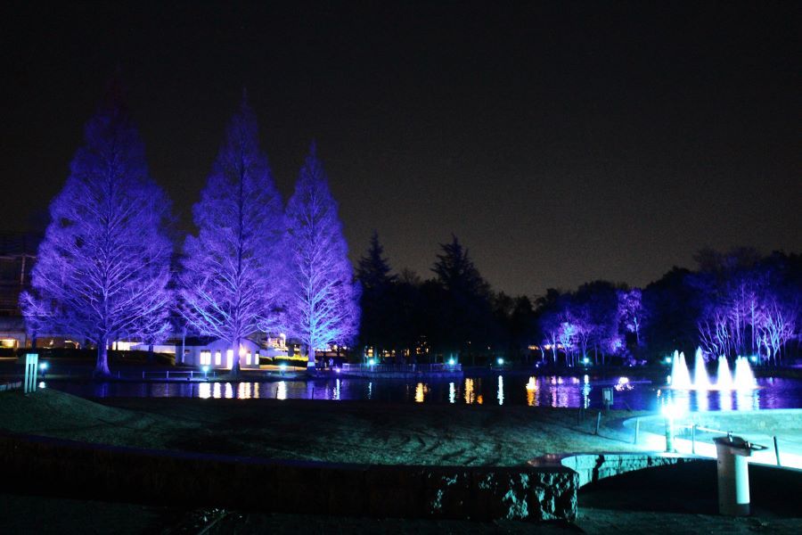 蒼い世界に癒やされる「七北田公園イルミネーション＆キャンドルナイト2024」 | TRILL【トリル】