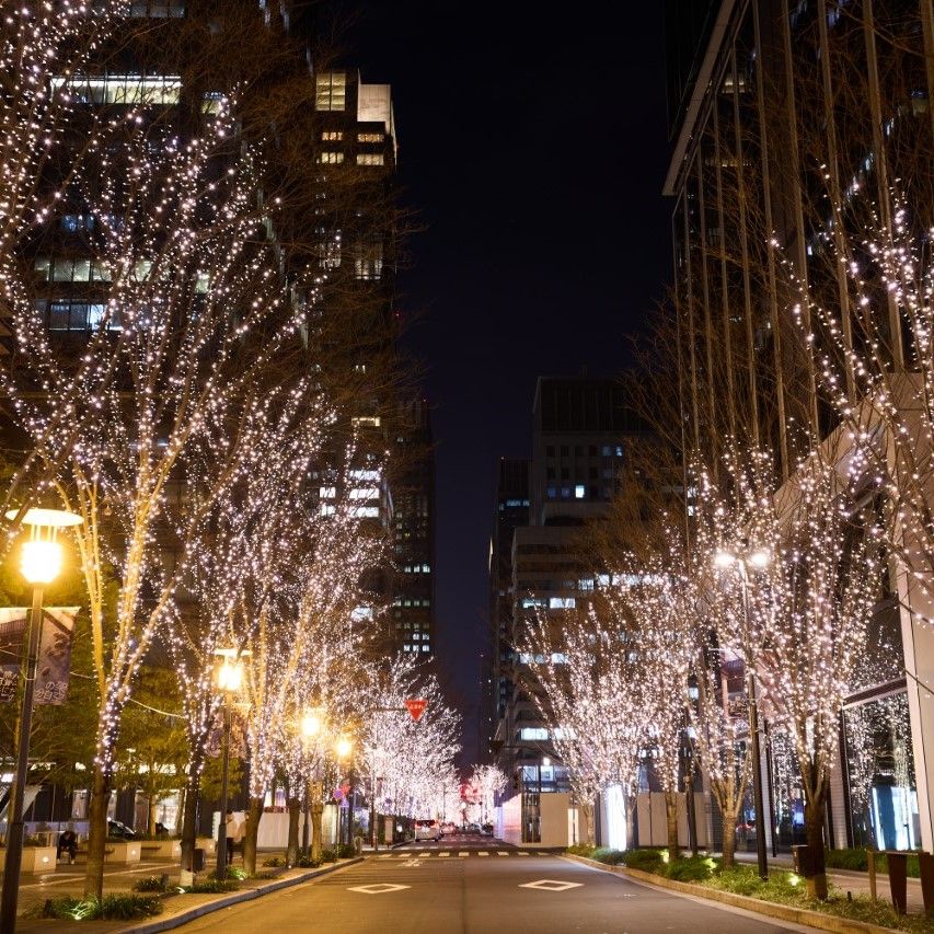 ロマンティックムードに浸るなら、シャンパンゴールド色に輝く丸の内イルミへ | TRILL【トリル】