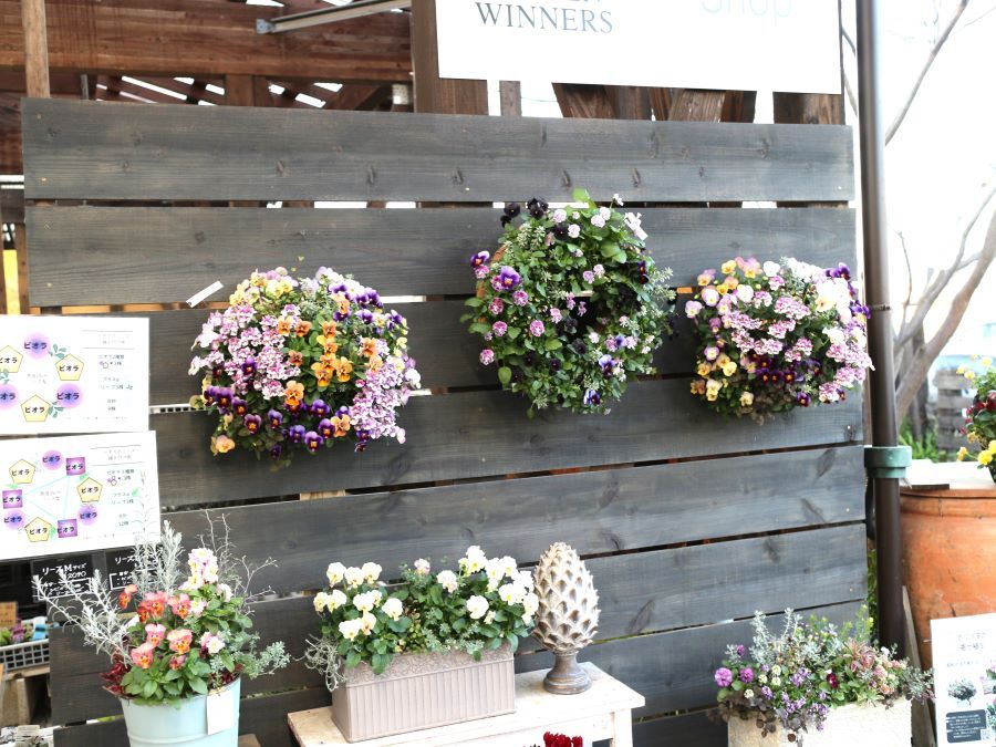 【吉見町】ガーデニング好き必見！大人かわいい花苗を探すならここ♪園芸店「さにべる」 | TRILL【トリル】