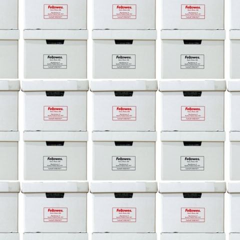 「推しグッズもたまっていく……」軽くておしゃれな収納BOX 【フェローズ】が最高に使ってよかった！ | TRILL【トリル】