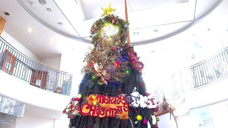 ツリーに近づくと磯の香り？希少な「ヤヤンコンブ」35キロ使用でPR【クリスマス】 | TRILL【トリル】