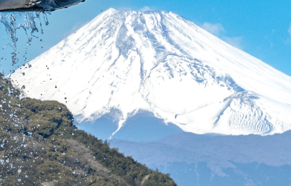 富士山をバックに…撮られた“奇跡の1枚”に「AIよりAIみたい」「最高の瞬間」 | TRILL【トリル】