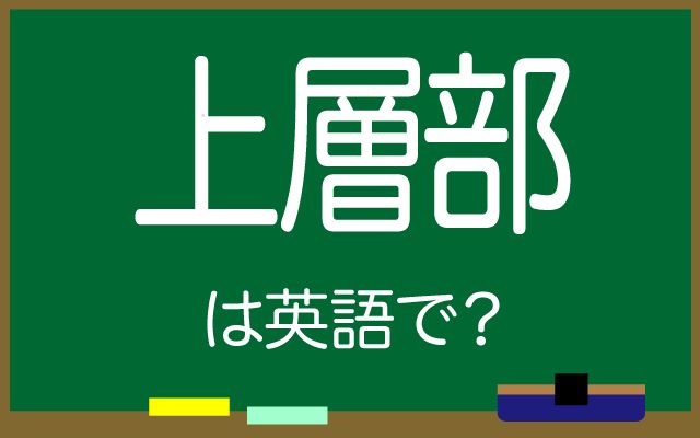 英語で【上層部】は何て言う？「最高経営責任者」などの英語もご紹介 | TRILL【トリル】