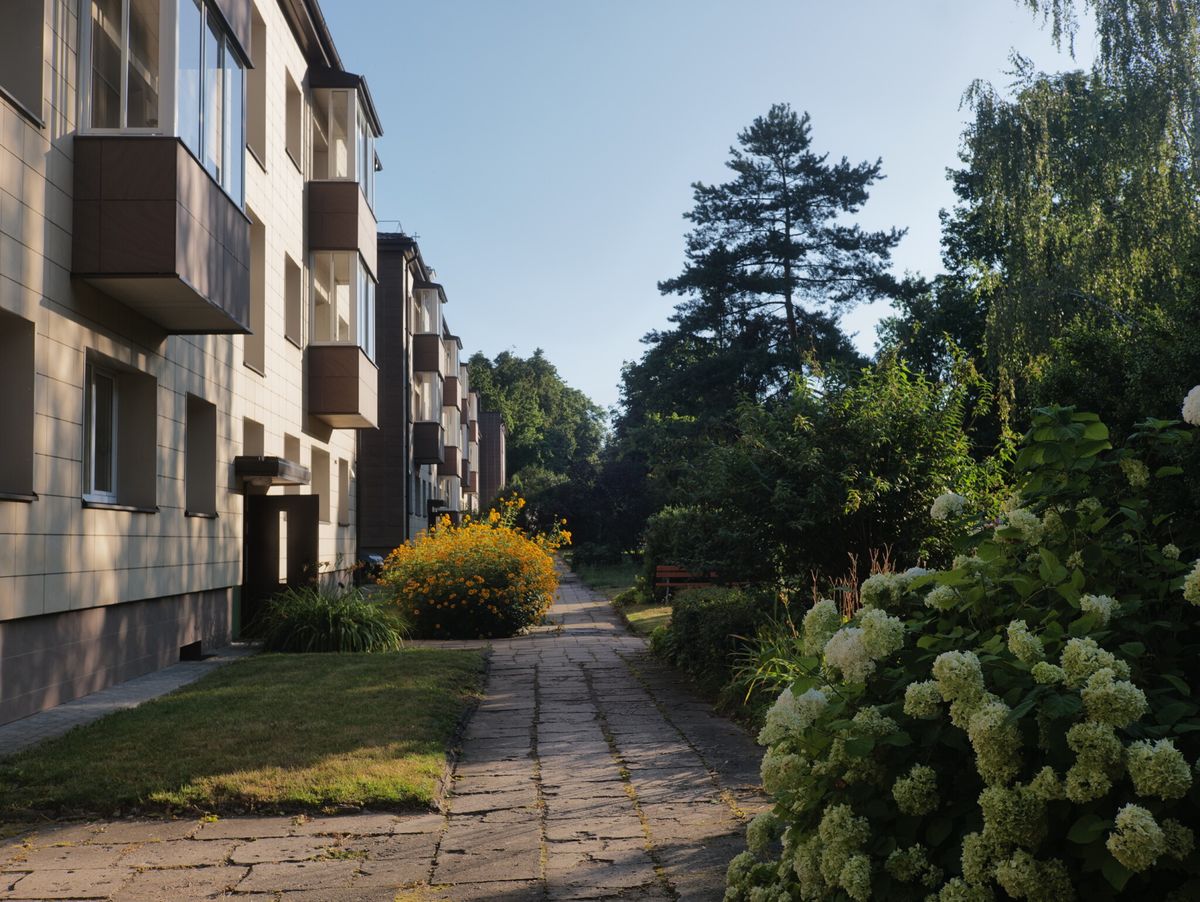 大きい子にも旅をさせよ。底なしの親切に触れる、メカスの生家を訪れた後で。 連載コラム : 在本彌生 #3 | TRILL【トリル】