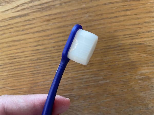 【超極細毛が2万本密集すると…これはメラミンスポンジか!?】ダイソーの微細歯ブラシが気持ちいい～件 | TRILL【トリル】