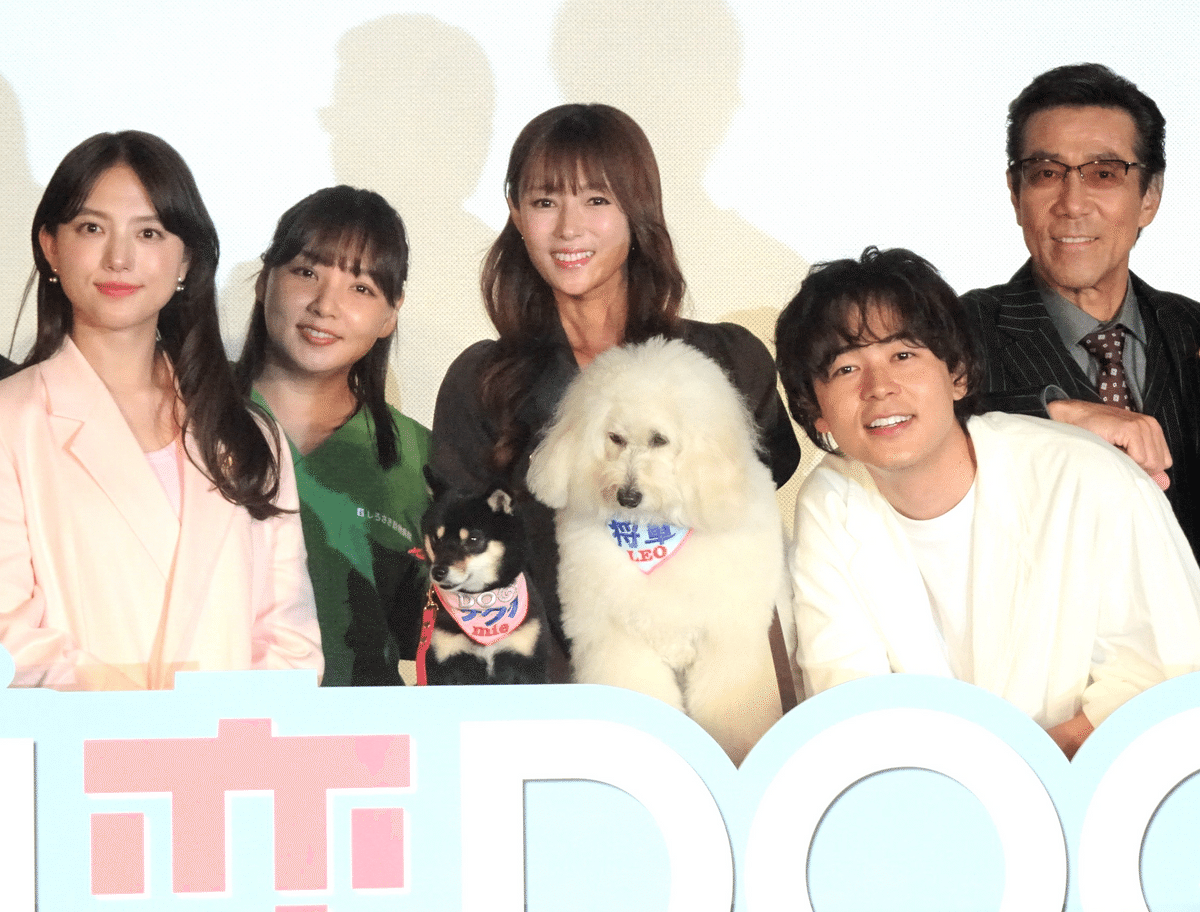 TBSテレビ、国際展開にらむ…？『愛の不時着』手がけたスタジオと“共同制作”【7月期ドラマ】 | TRILL【トリル】