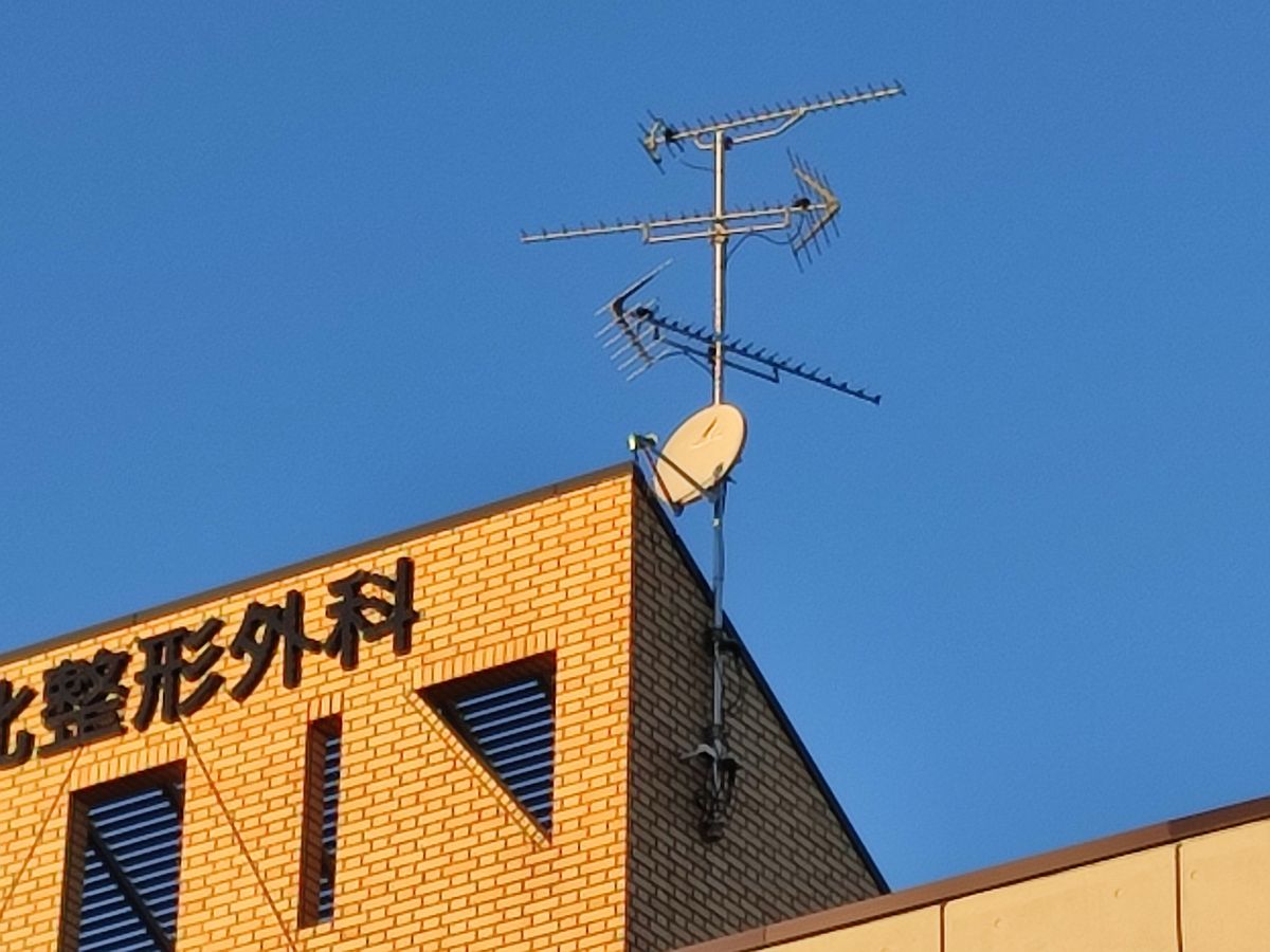 『五十肩』で整形外科へ→待合室で話した“マダムたちの助言”に戦慄したワケとは | TRILL【トリル】