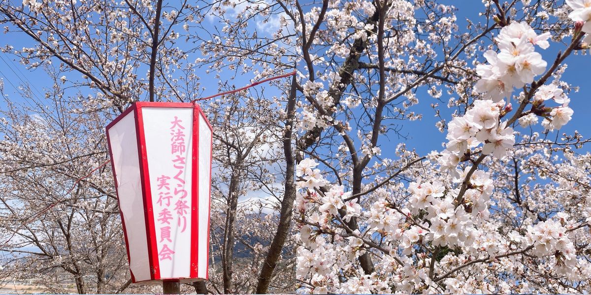 【山梨県】「大法師さくら祭り」2,000本のソメイヨシノを見に行ってきた！ | TRILL【トリル】