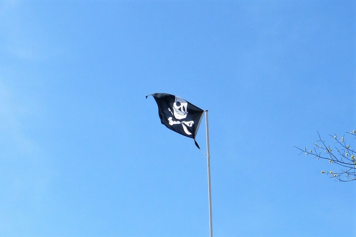 最強なのに低すぎる…『ONE PIECE』ゾロの“本当の懸賞金”はいくらになる？ | TRILL【トリル】