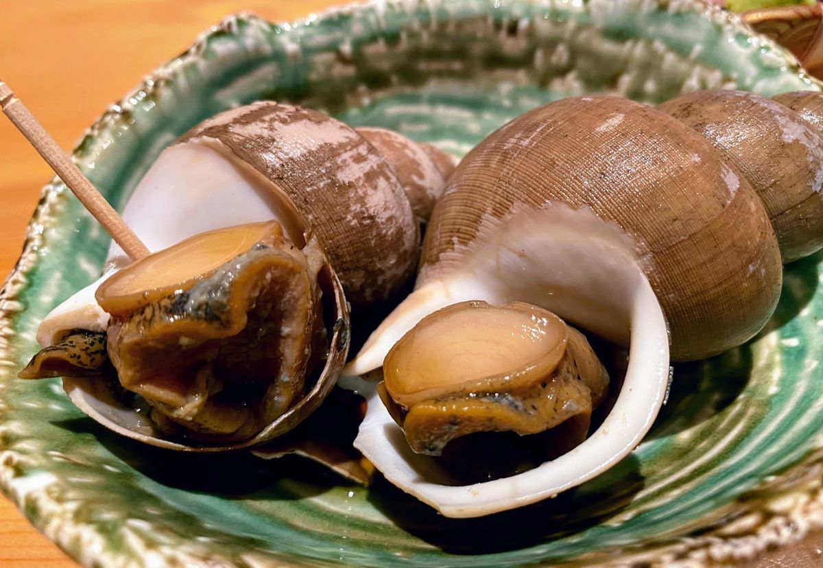 巻貝好きが陥りがちなピンチ…中身を取り出せなかった時の“最終手段”とは？ | TRILL【トリル】