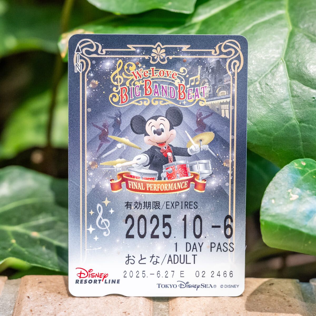 東京ディズニーシー「We Love ビッグバンドビート」デザイン！ディズニーリゾートライン フリーきっぷ | TRILL【トリル】