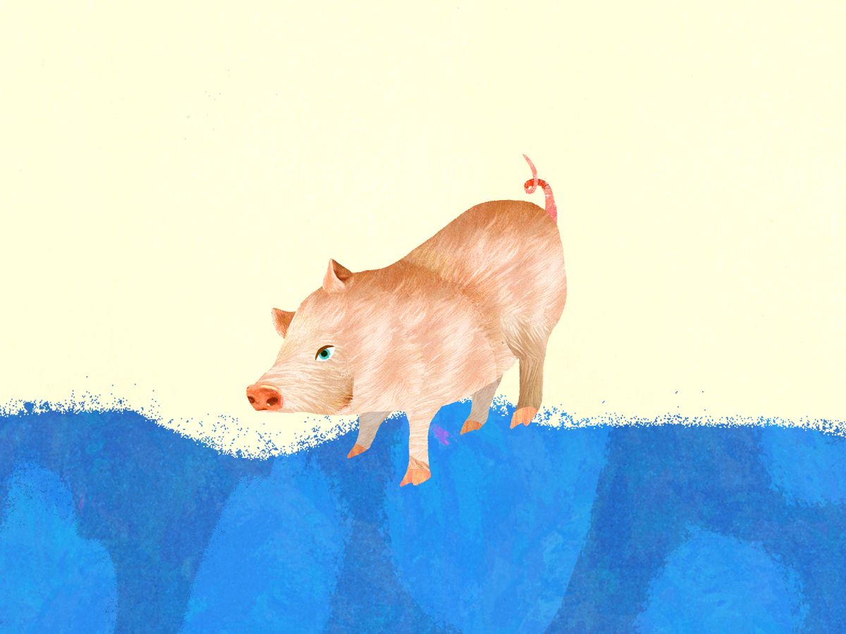 台湾発干支占い【亥（いのしし）年】「5/27～6/24」の全体運・仕事運・財運 休み休みでOK。気力と体力の温存を | TRILL【トリル】