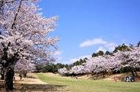 【ゴルフ会員権】第126回 沼津ゴルフクラブ（静岡県） | TRILL【トリル】