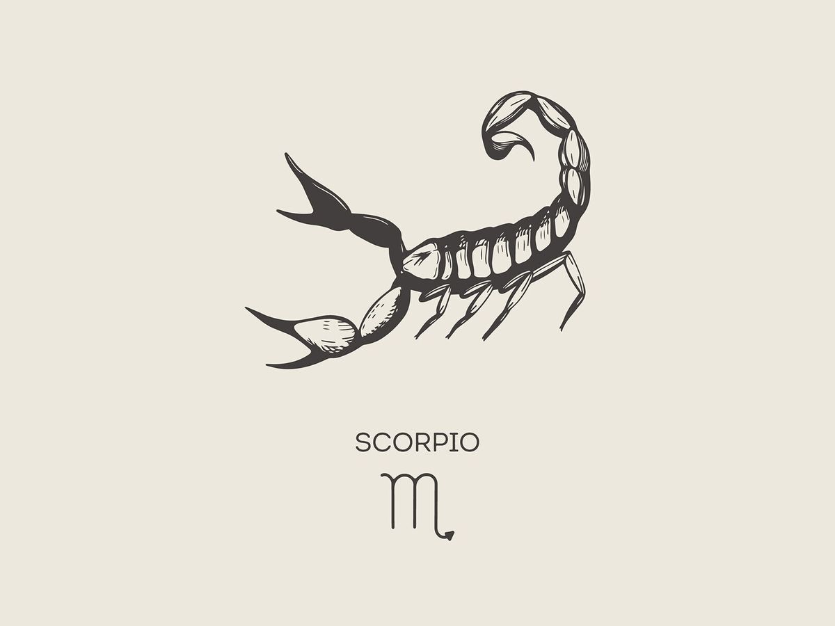 「さそり座」さんの2025年上半期の振り返り！ 章月綾乃の【幸せのカルテ】 | TRILL【トリル】