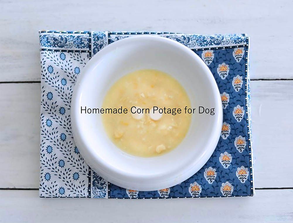 愛犬と一緒に味わう夏の恵み “旬のトウモロコシ”で作る優しいポタージュ | TRILL【トリル】