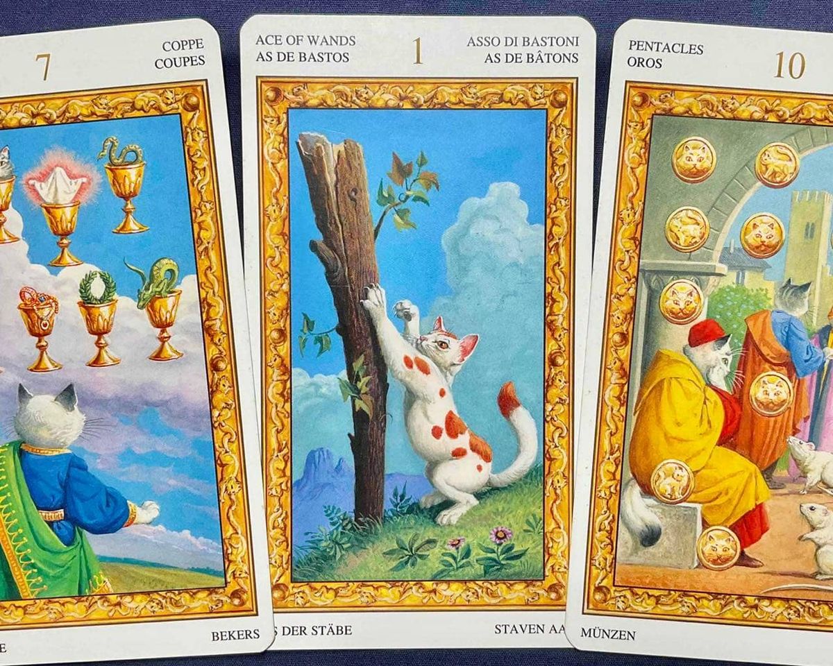 【魚座】週間タロット占い《来週：2025年6月23日〜6月29日》の総合運＆恋愛運 | TRILL【トリル】